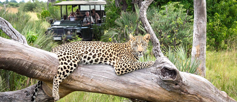 Fun In South Africa | Mercury Travels