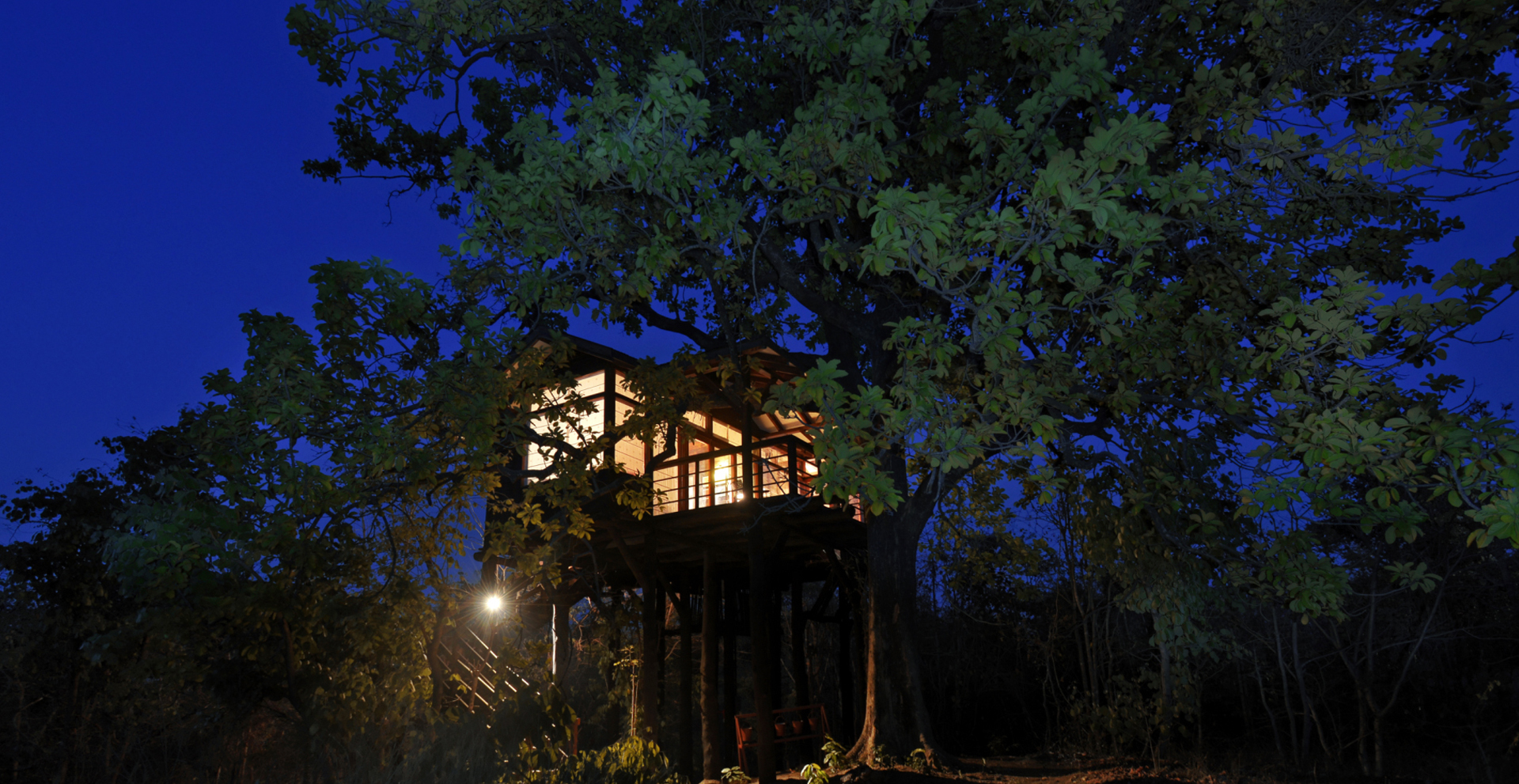 Pench Tree Lodge | Mercury Travels
